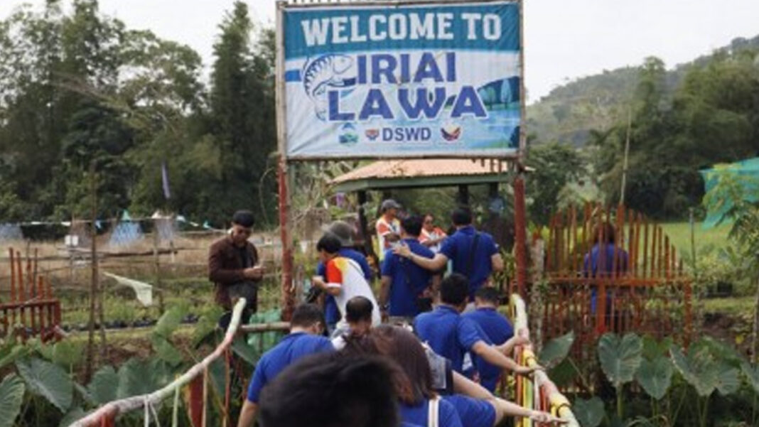 North Negros Farmers’ Community Reaps Gains From Project LAWA At BINHI ...