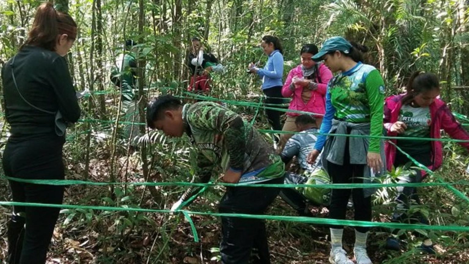 DENR Documents Notable Fauna, Flora In North Negros’ ‘Tinagong Dagat ...